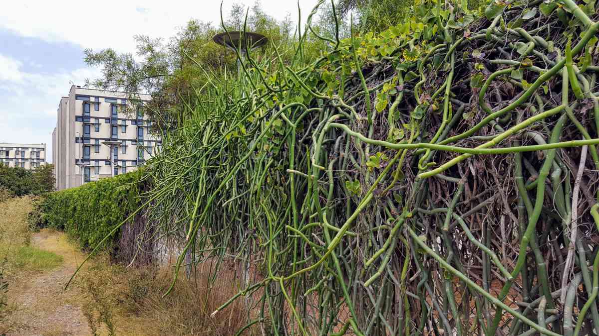 Is Fullerton Tap Water Safe to Drink? - 2022