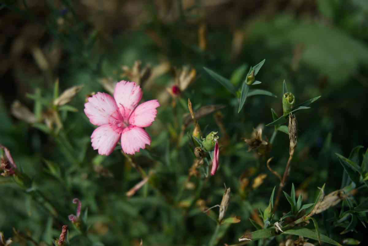 Is Normal Tap Water Safe to Drink? - 2022